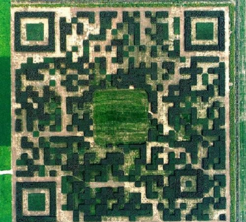 China's Forest Forms a Huge QR Code to Boost Tourism