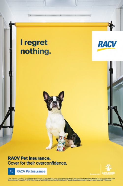 RACV Provides Backup for Your Overconfident Pet