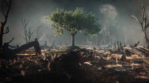 Refugee Jatoba Tree Seeks Asylum