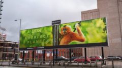 Smokey Billboard Dramatically Reveals a Forest Fire