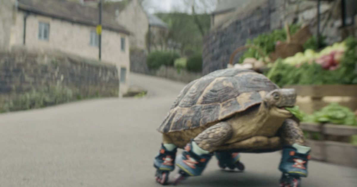 Turtle Teaches Us How Enjoyable a Train Ride Can Be